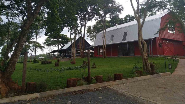 Child Friendly Restaurants with Kids' Menus in Nairobi