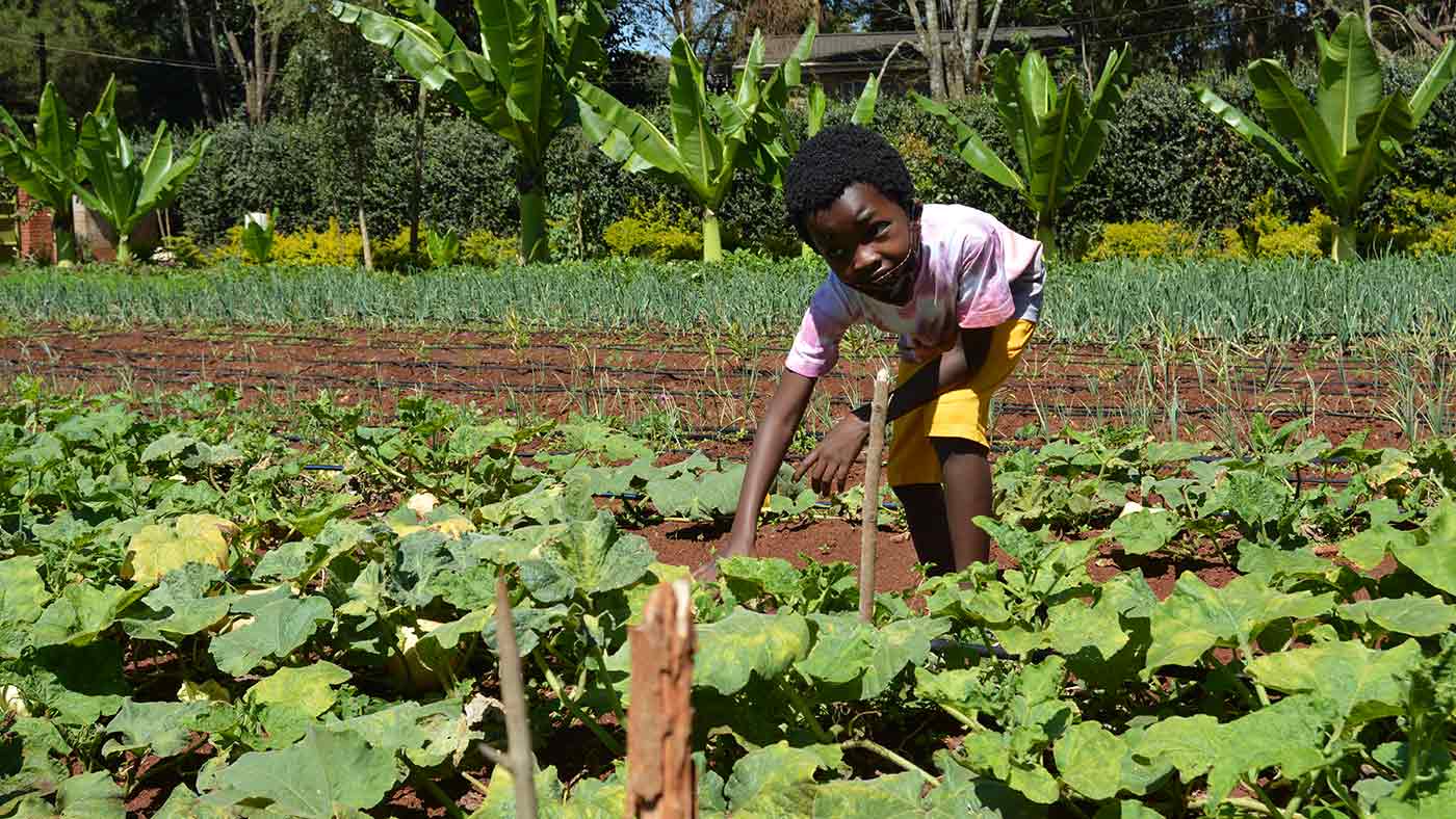 Family Friendly Things to do in Karen, Nairobi, Kenya with Kids.