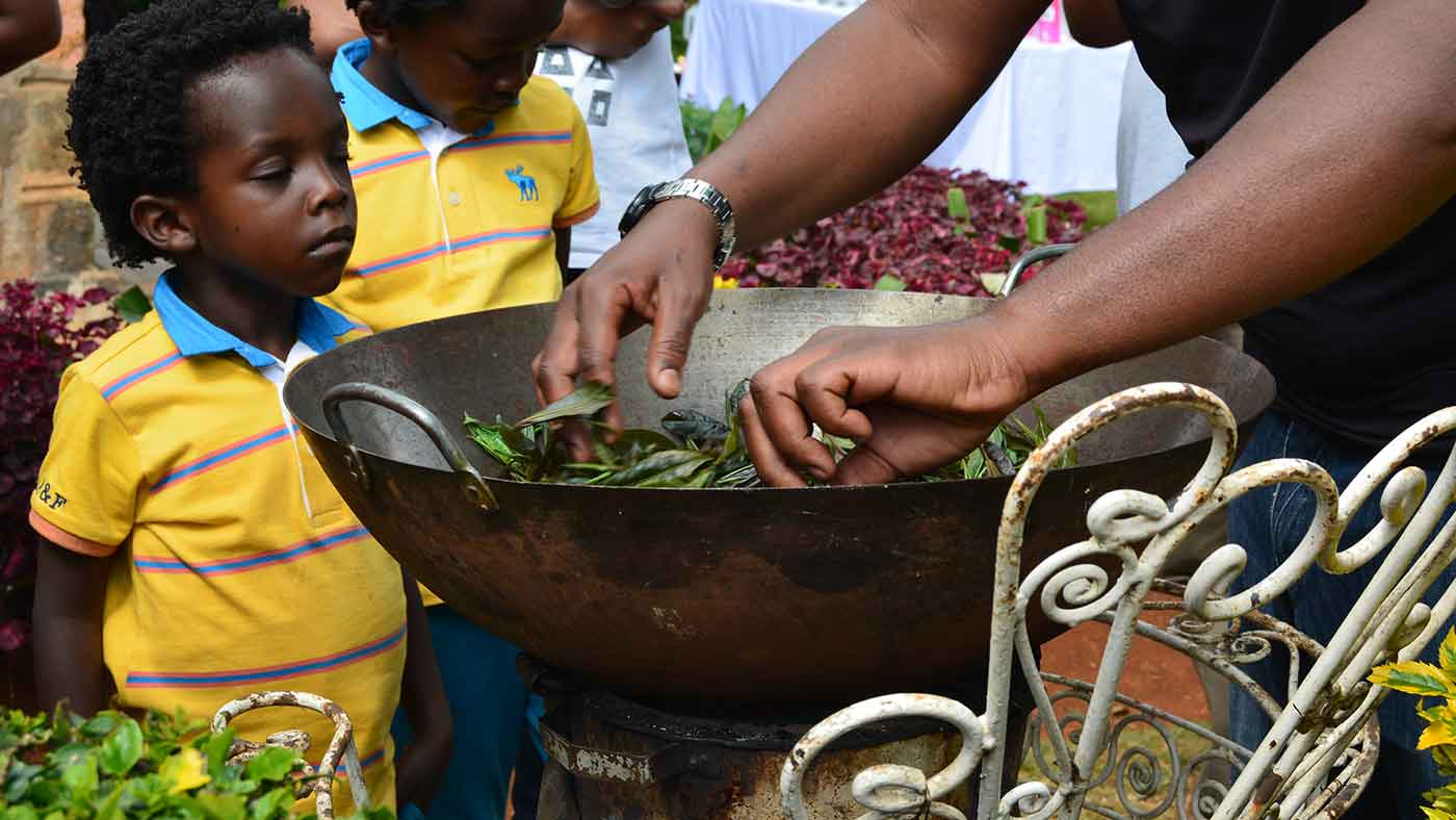 Farm tours in Nairobi Kenya, perfect for kids and school trips