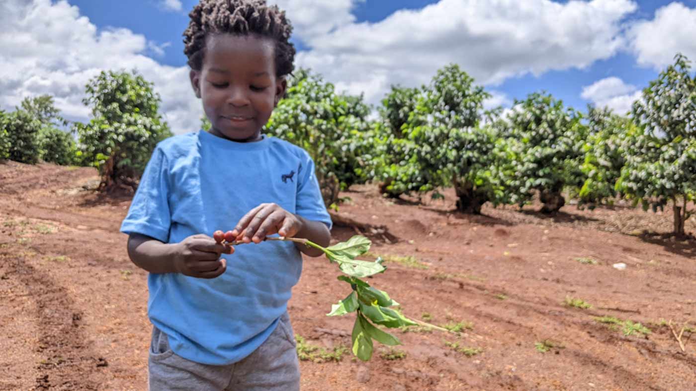 Farm tours in Nairobi Kenya, perfect for kids and school trips
